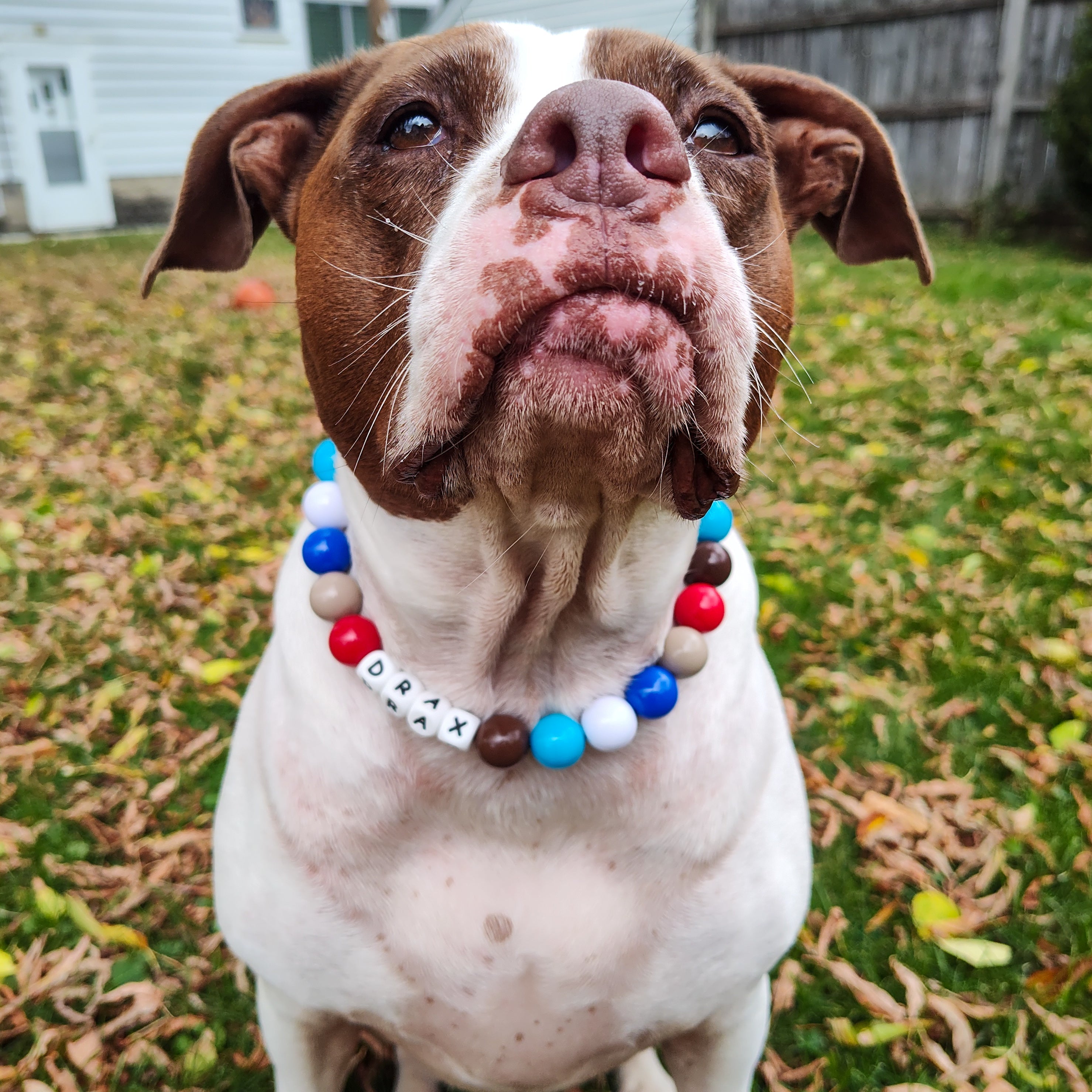 Necklaces – Dog Goods For Good Dogs